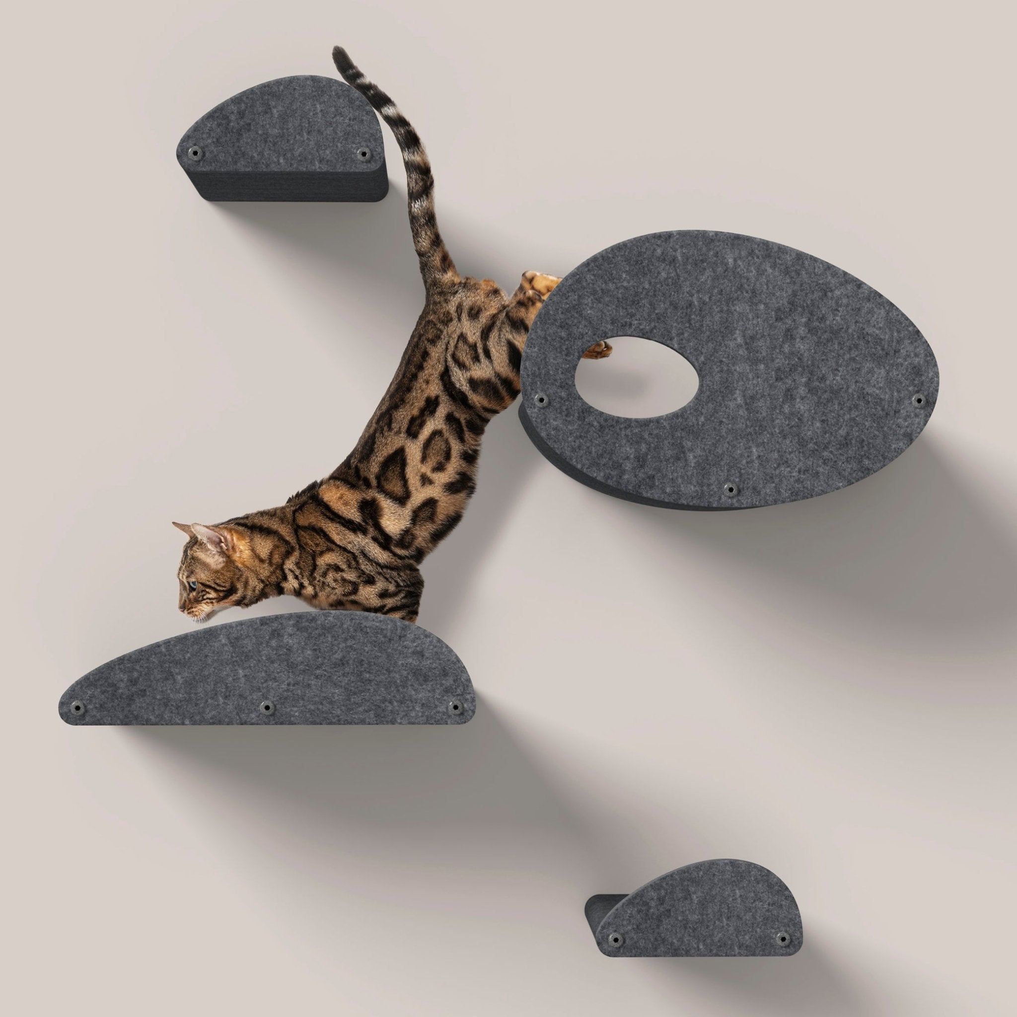 Wall Mounted Cat Climber Shelves with Facades | Pryde Pets