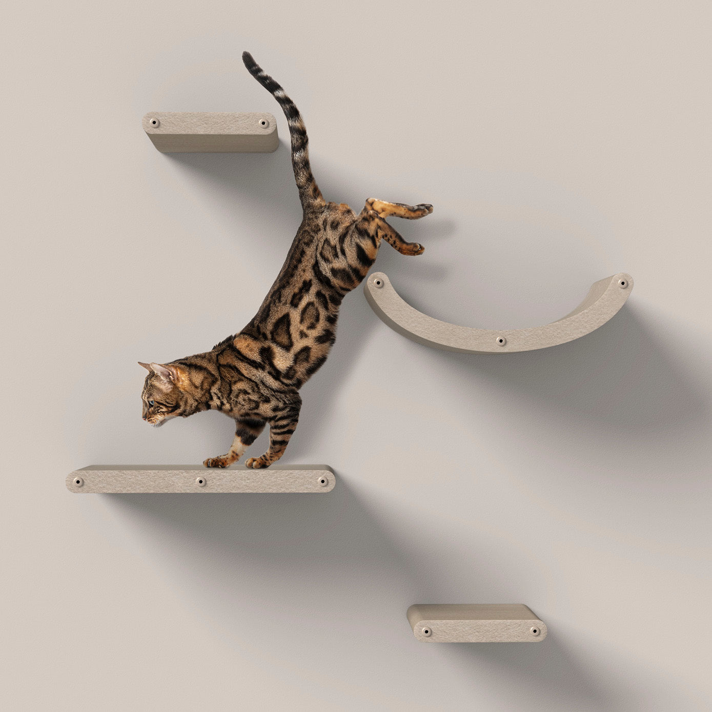Wall Mounted Cat Shelves (Oatmeal) - Set of 4 | Pryde Pets – prydepets ...