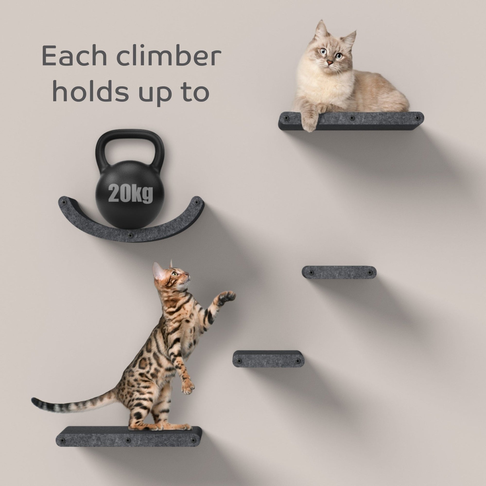 Wall Mounted Cat Shelves (Oatmeal) - Set of 4 | Pryde Pets – prydepets ...